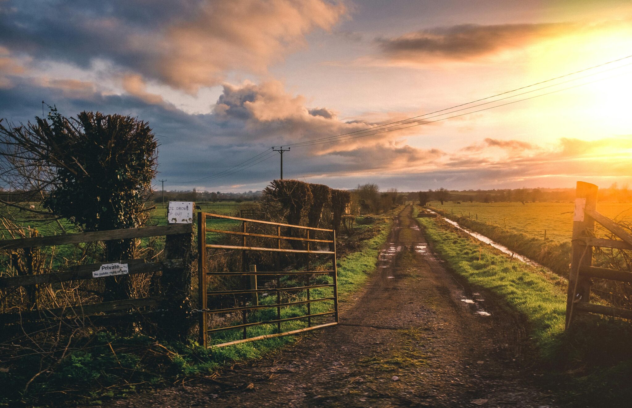 The Narrow Road: What It Really Means to Follow Jesus | Food Over Faith